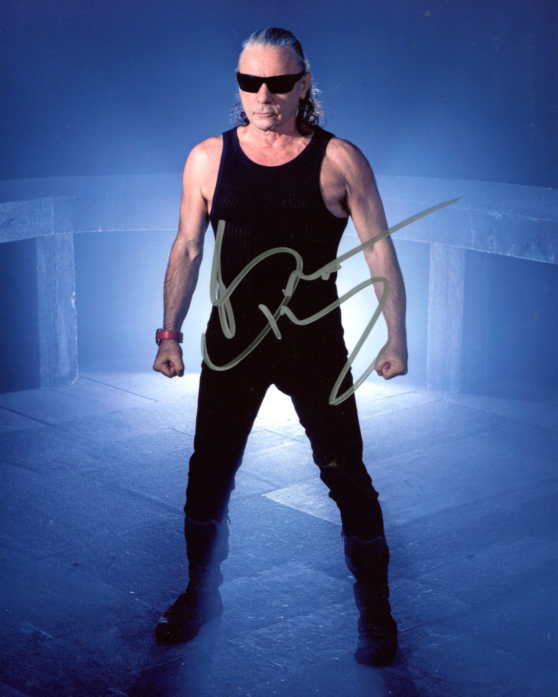 Bruce Dickinson autograph, signed photograph