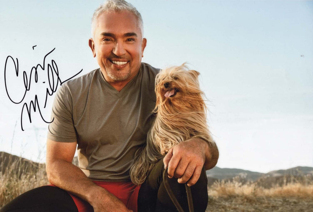 Felipe Cesar Millan Favela Autograph | signed photographs