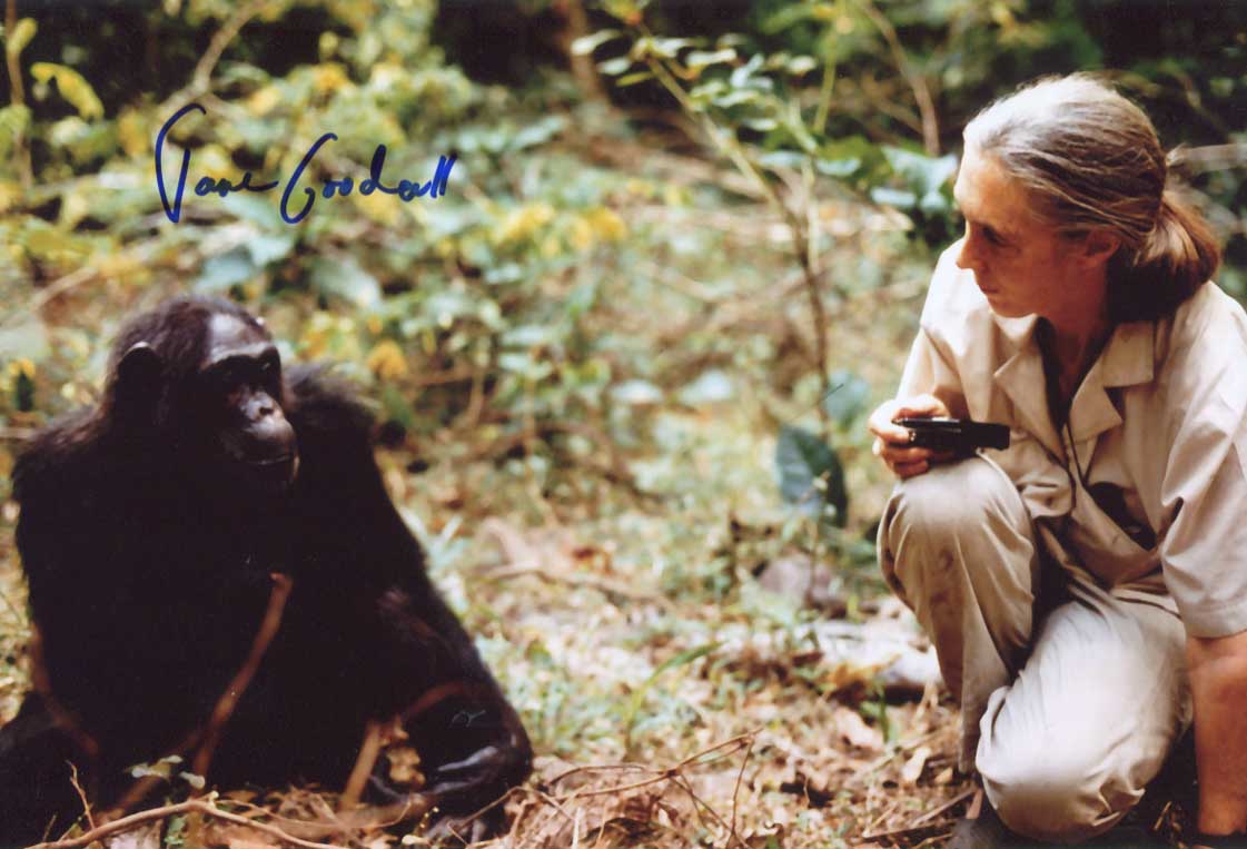 Famous Explorers & Pioneers : Rare original Autographs