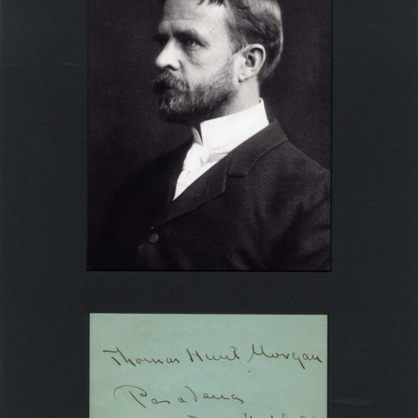 Thomas Hunt Photo:Thomas Hunt Morgan | EBay